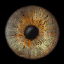 Iris fotografie, uw eigen irisfoto als kunst aan de muur.